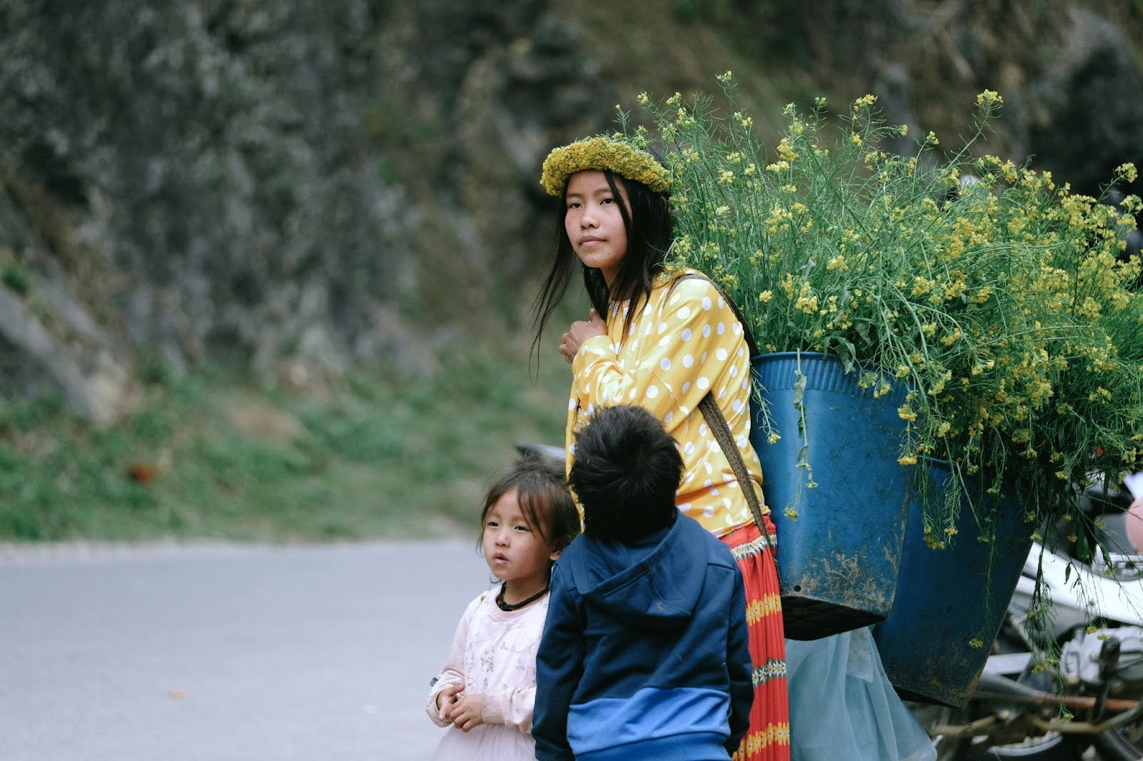 Protect Your Family from Dengue: Singapore Expert Mosquito Control Sol ...